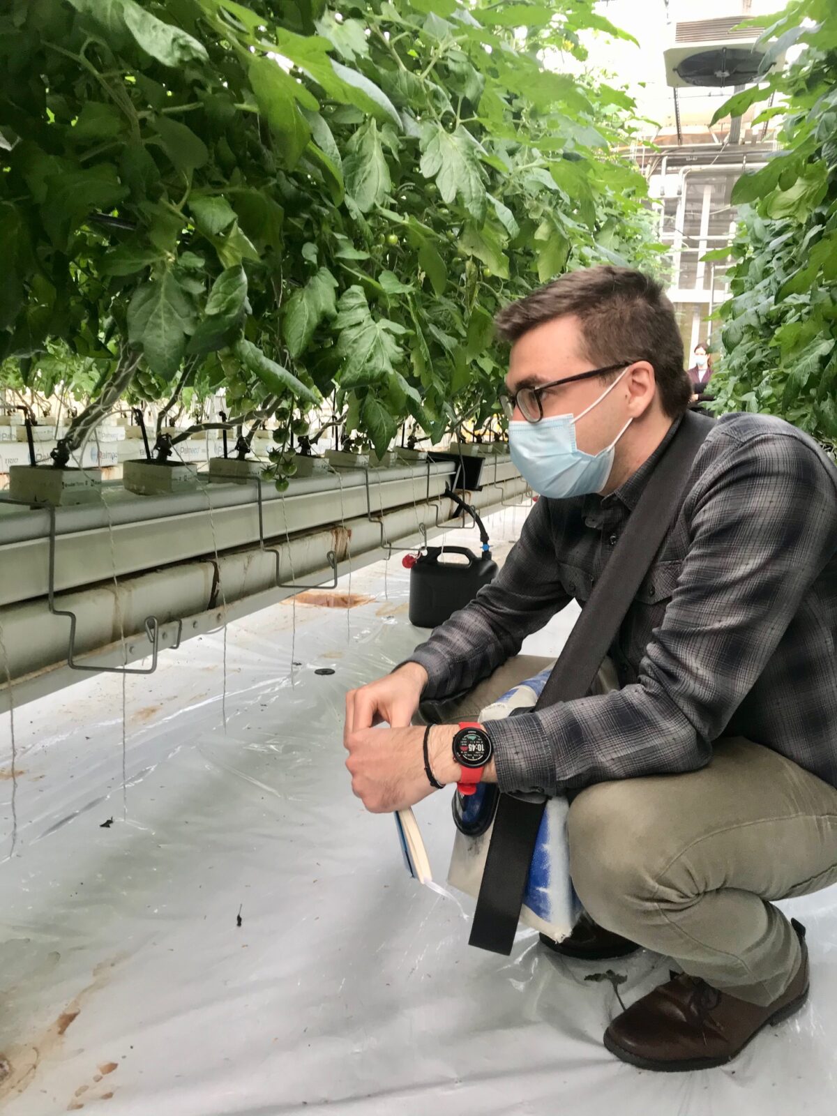 Neuroscience and Plant’s electrical signalling system - Vivent Biosignals